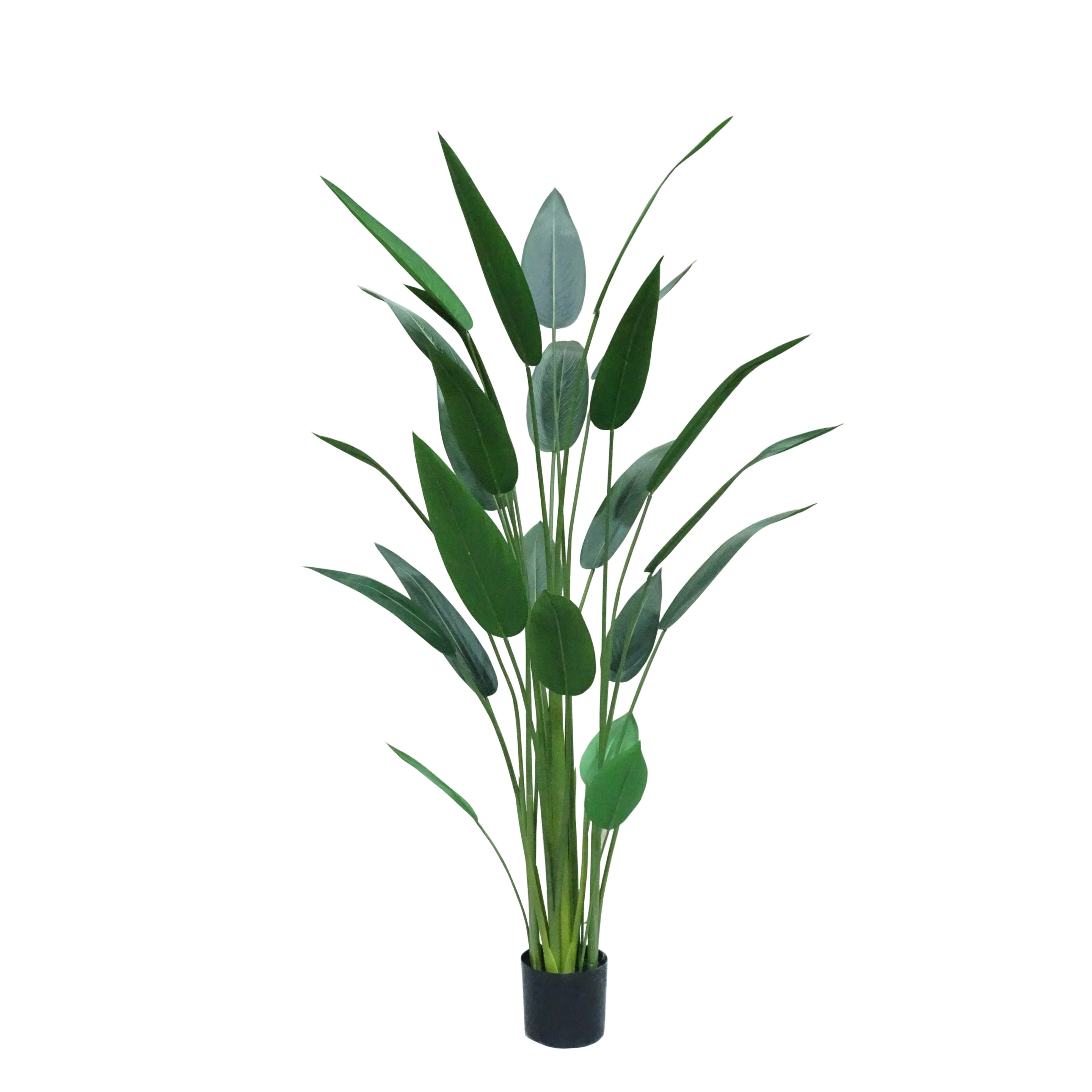 Bird of Paradise Tree - Nazzek