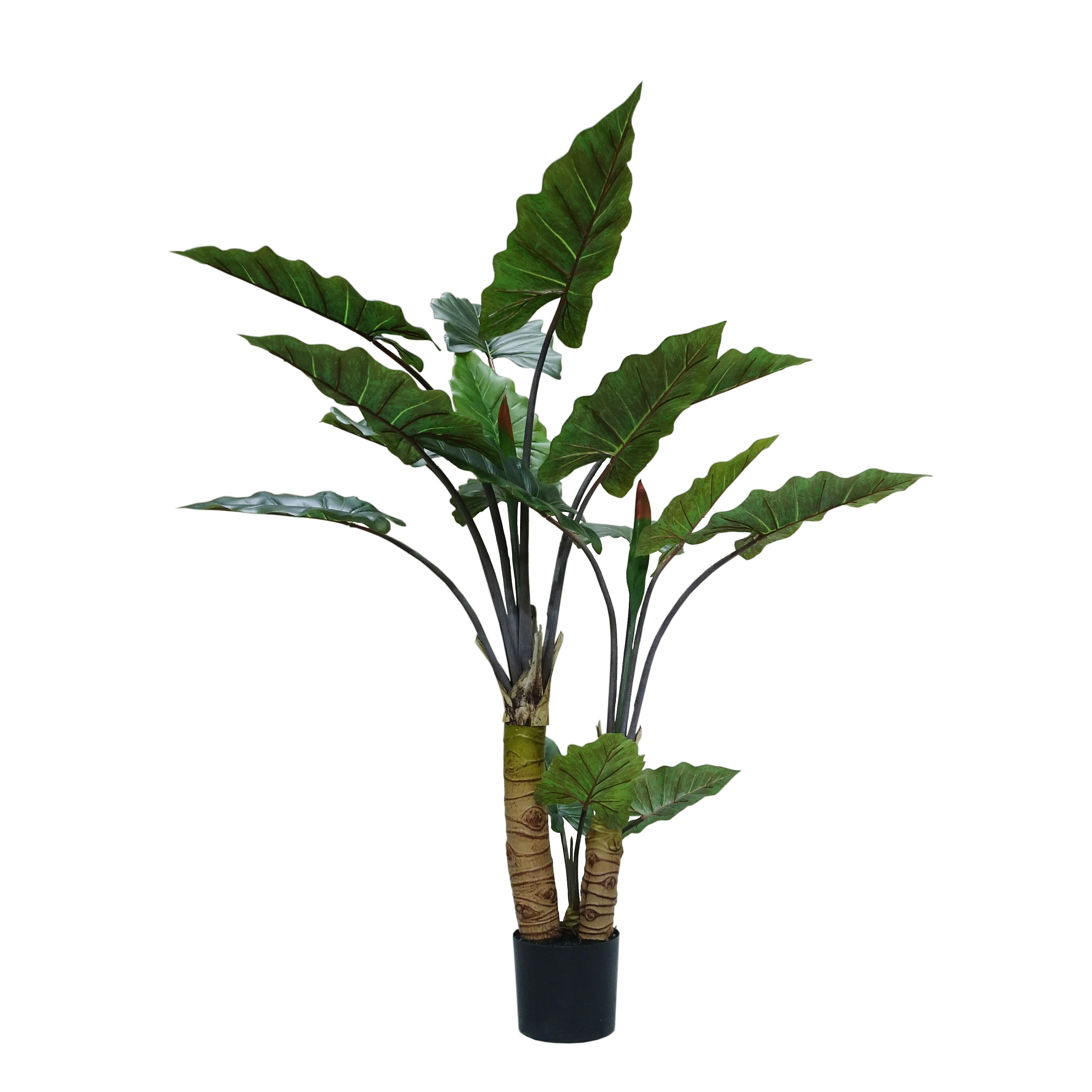 Taro Tree – Nazzek Furniture